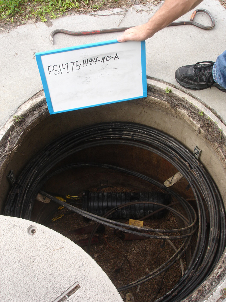 Data Collection Forms